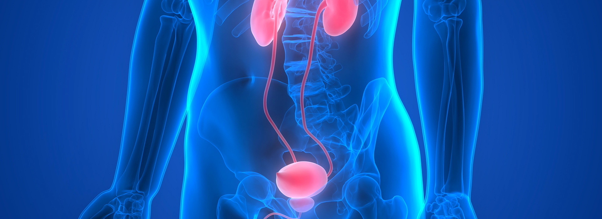 Make an appointment with our doctor in urology in - Medical Point